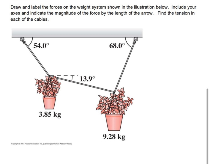 Solved Draw and label the forces on the weight system shown | Chegg.com
