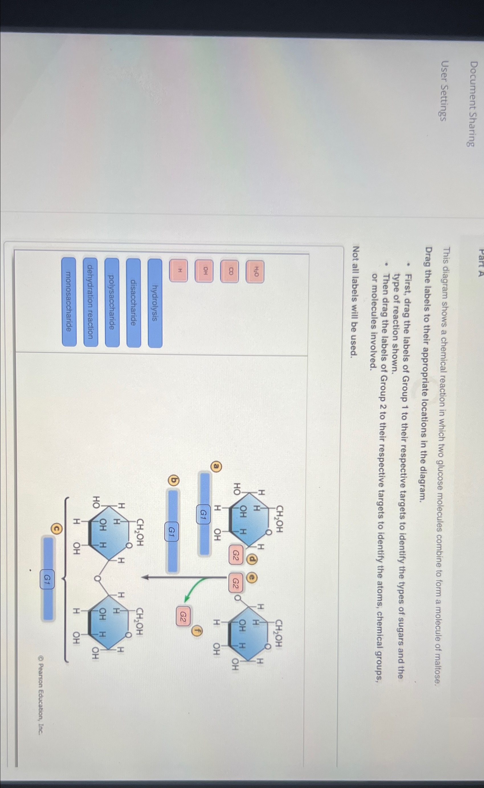 Solved Document Sharinguser Settingsthis Diagram Shows A