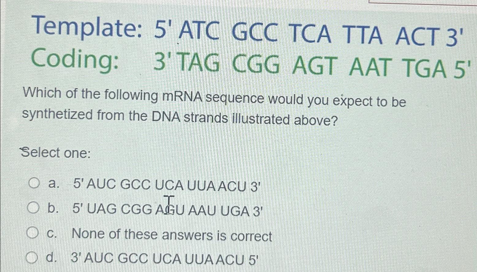 Solved Template: 5' ﻿ATC GCC TCA TTA ACT 3' ﻿Coding: 3'TAG | Chegg.com