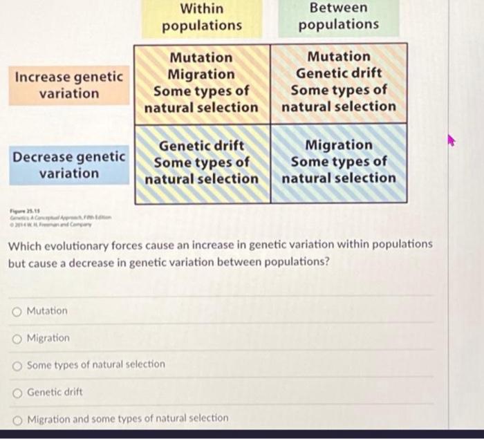 Which evolutionary forces cause an increase in | Chegg.com