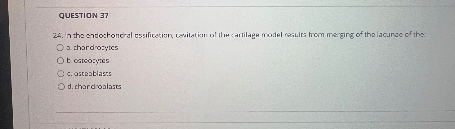 Solved QUESTION 3724. ﻿In the endochondral ossification, | Chegg.com