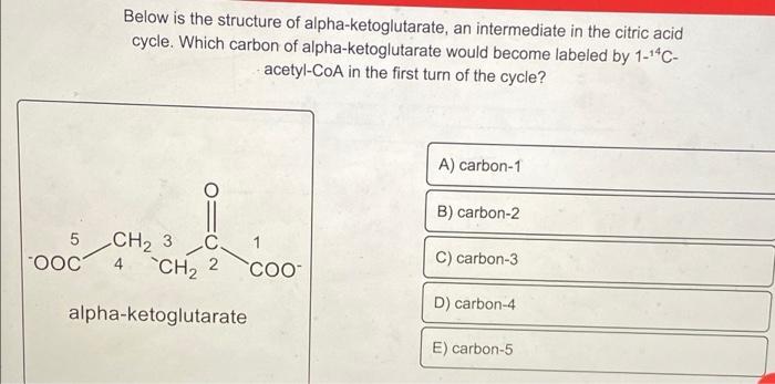 Solved Below is the structure of alpha-ketoglutarate, an | Chegg.com
