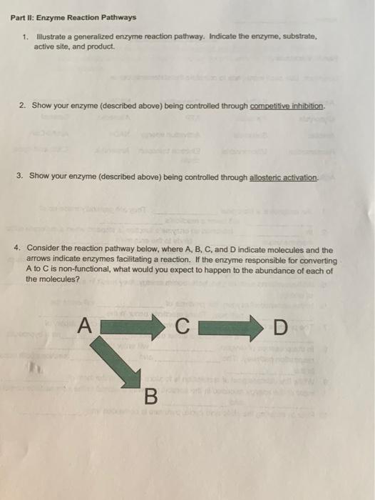 Solved Part II: Enzyme Reaction Pathways 1. Illustrate a | Chegg.com