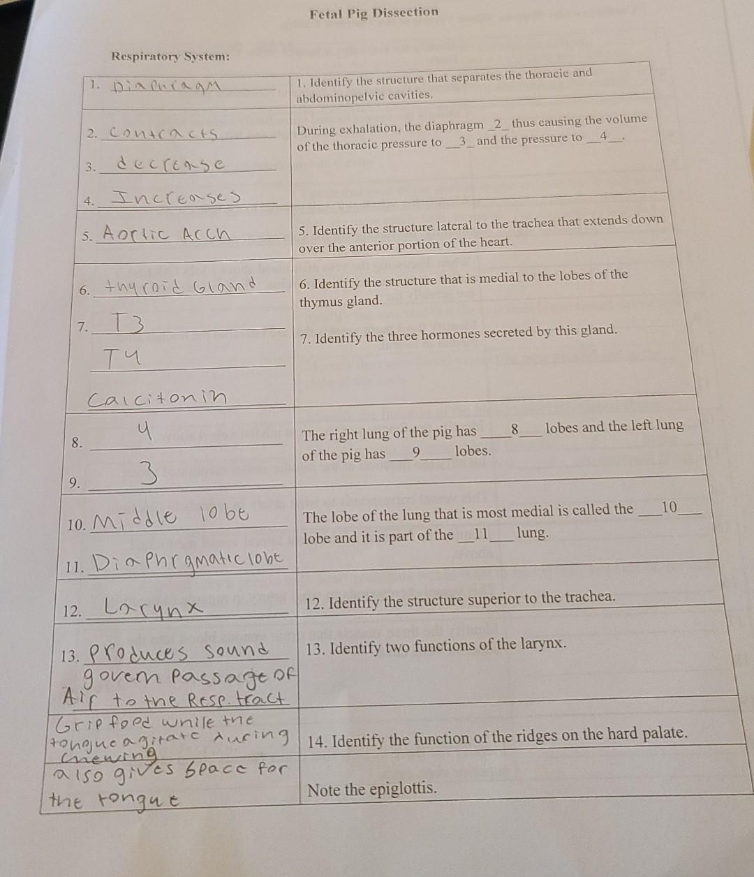 Solved Fetal Pig Dissection | Chegg.com