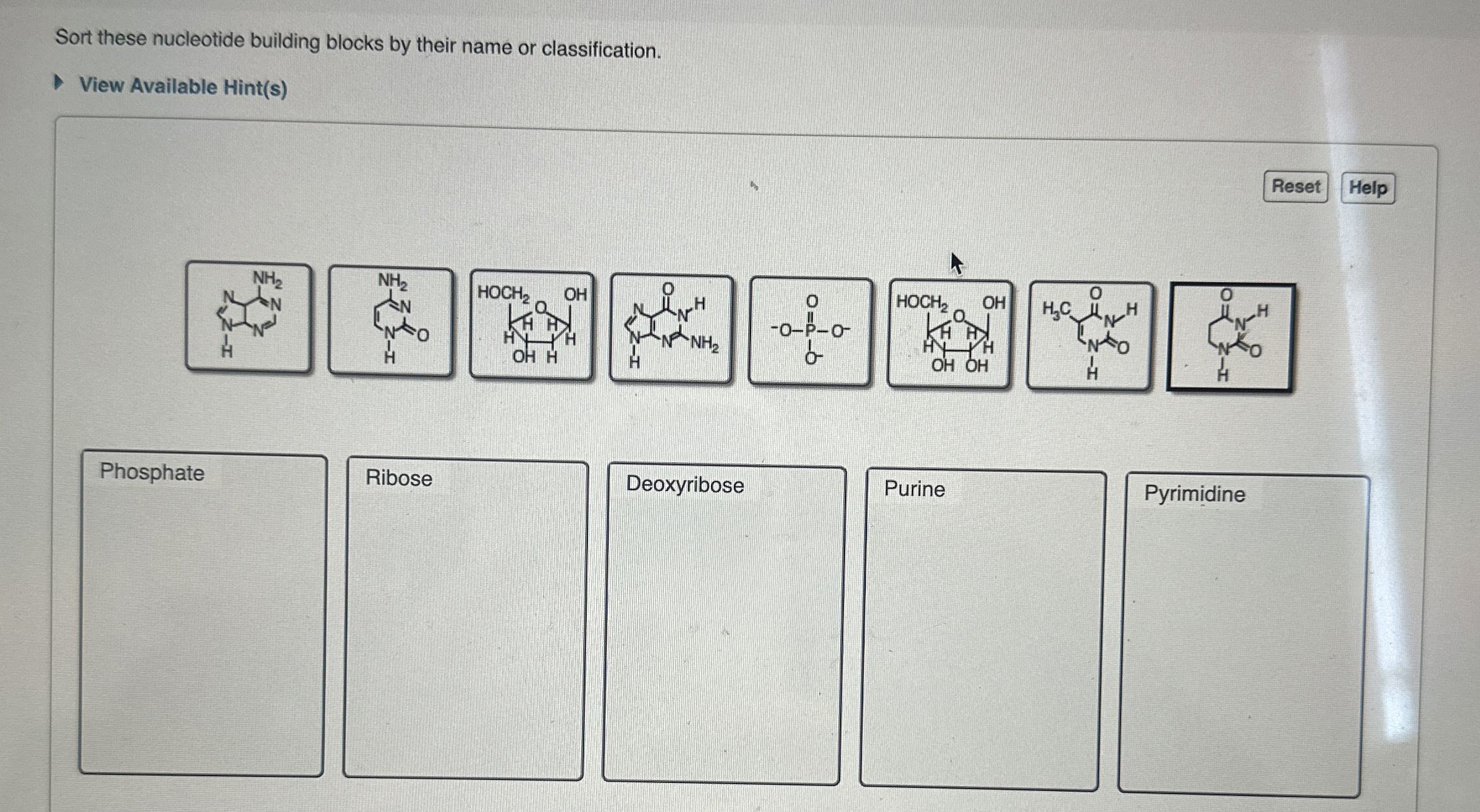 Solved Sort these nucleotide building blocks by their name | Chegg.com