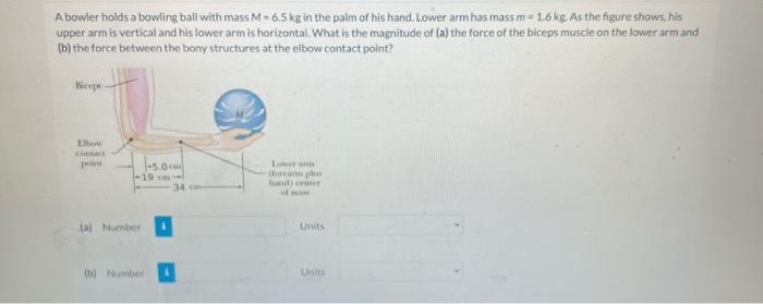 Solved A bowler holds a bowling ball with mass M=6.5 kg in | Chegg.com