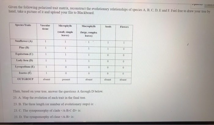 Solved pure Given the following polarized trait matrix, | Chegg.com