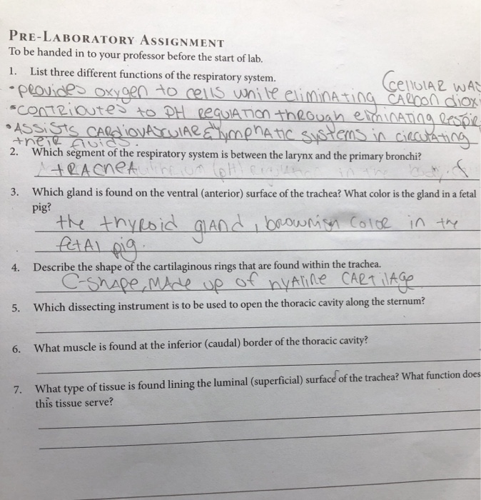 Solved PRE-LABORATORY ASSIGNMENT To be handed in to your | Chegg.com
