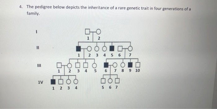 Solved 3. You have been studying awn development in rice and | Chegg.com