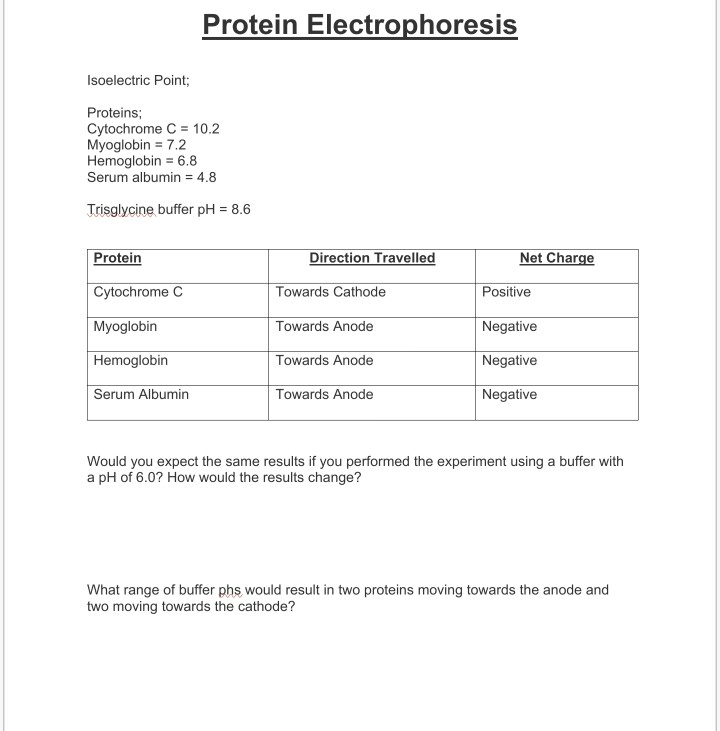 Solved Protein Electrophoresis Isoelectric Point; Proteins; | Chegg.com