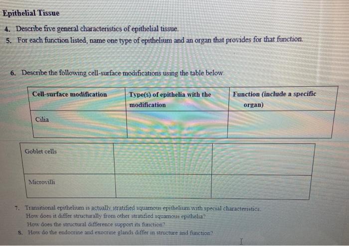 Solved Epithelial Tissue 4. Describe five general | Chegg.com