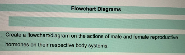 Solved Flowchart Diagrams Create a flowchart/diagram on the | Chegg.com