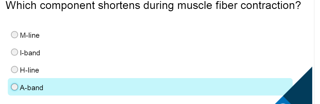 Solved Which component shortens during muscle fiber | Chegg.com