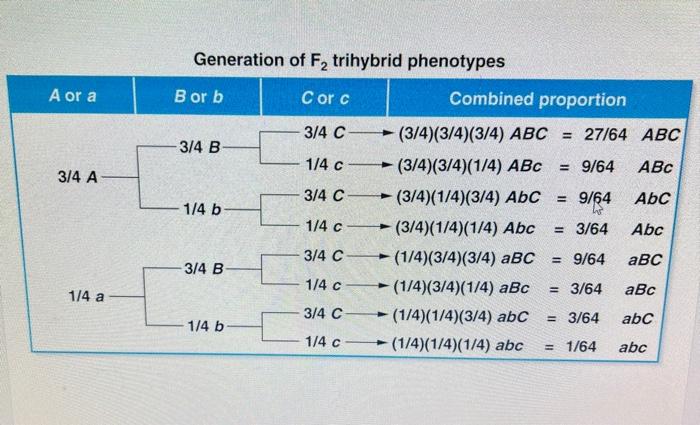Solved Please find attached an example of the way to answer | Chegg.com