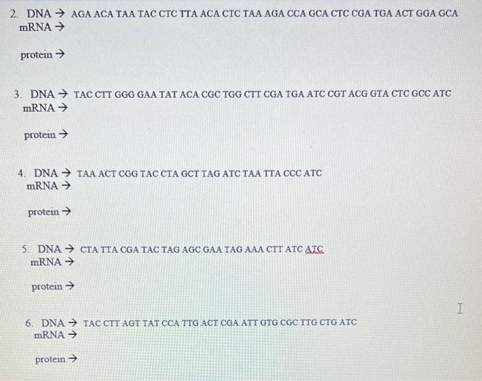 Solved PROTEIN SYNTHESIS WORKSHEET Use your codon chart to | Chegg.com