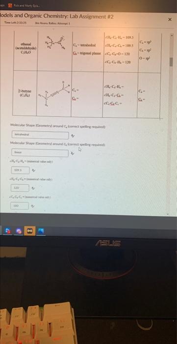 Solved Models and Organic Chemistry: Lab Assignment | Chegg.com