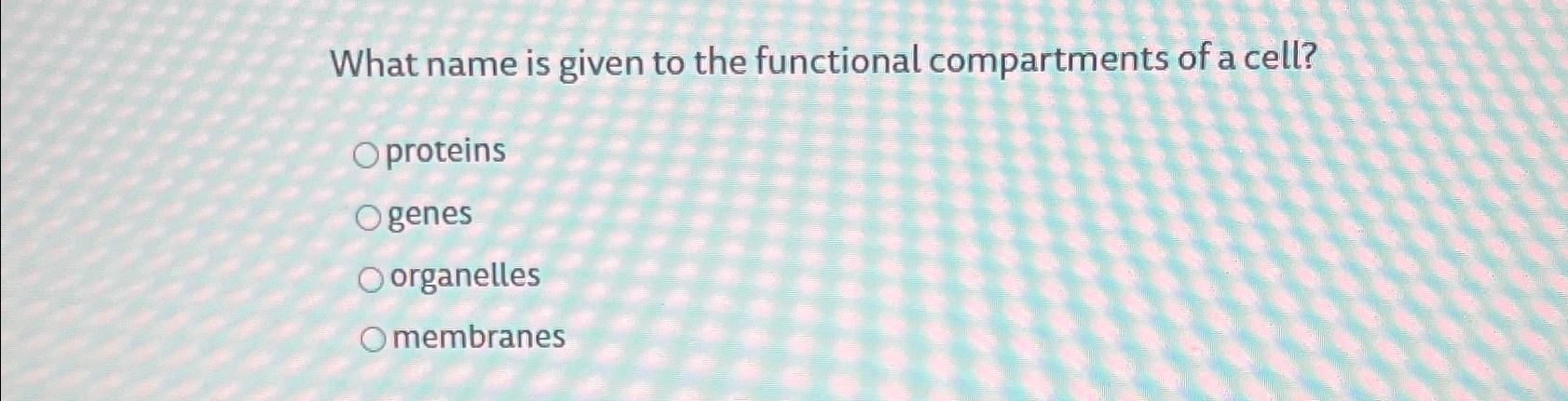Solved What name is given to the functional compartments of | Chegg.com