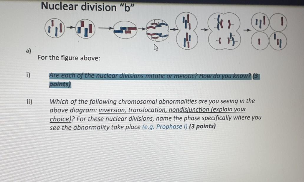 Solved X th Nuclear division "b" 4. H to's 1 a) For the | Chegg.com