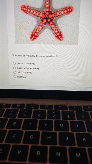 Solved Question 30 of 31 > 80 Echinoderms include species | Chegg.com