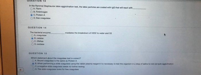 Solved In the Rommel Staphaurex latex agglutination test, | Chegg.com
