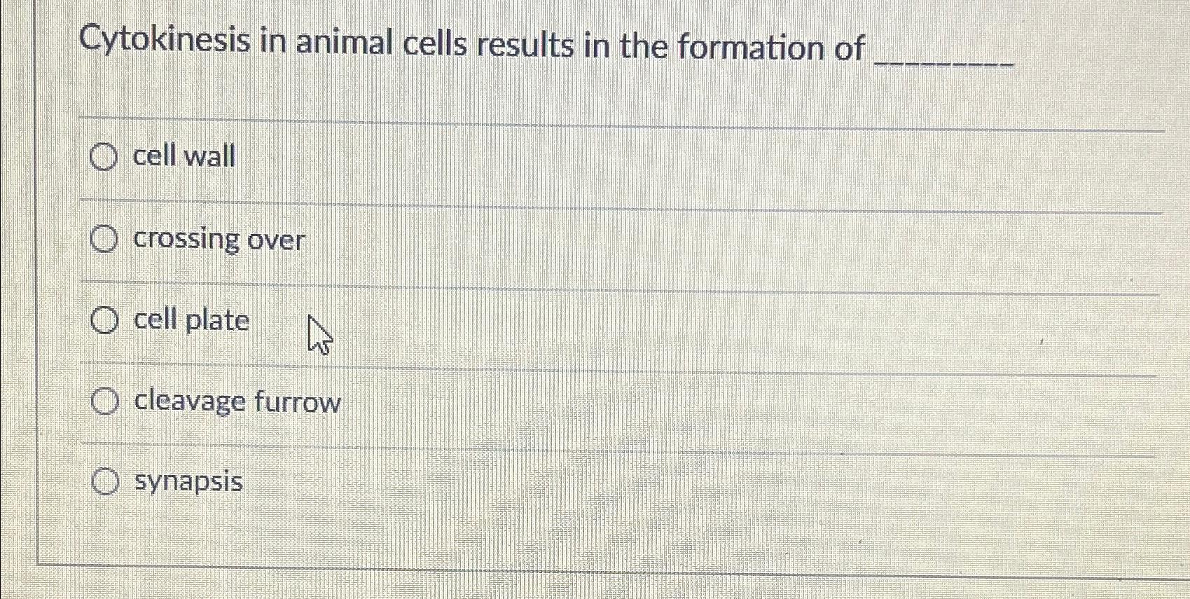 Solved Cytokinesis in animal cells results in the formation | Chegg.com