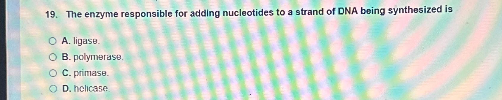Solved The enzyme responsible for adding nucleotides to a | Chegg.com