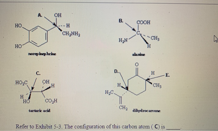 Solved ОН COOH --H CH NH2 CH3 RO norepinephrine alanine o | Chegg.com