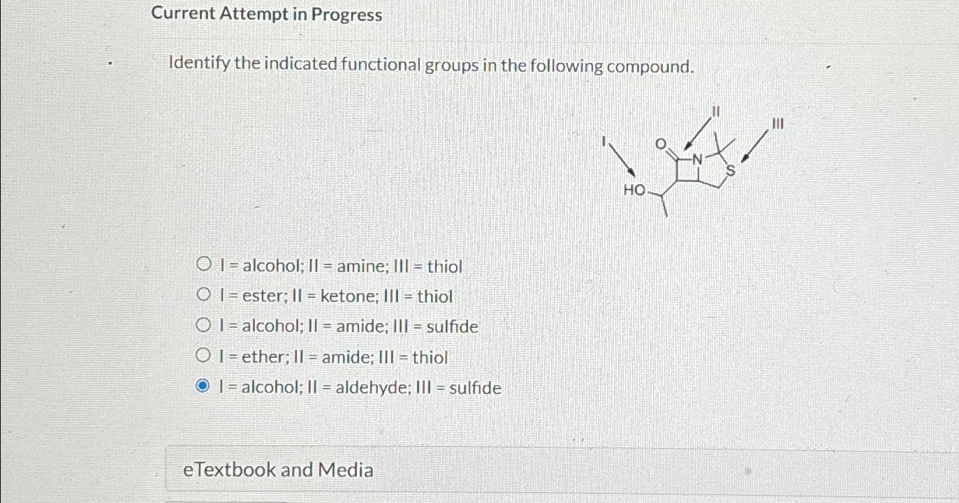 Solved Current Attempt in Progress\\nIdentify the indicated | Chegg.com
