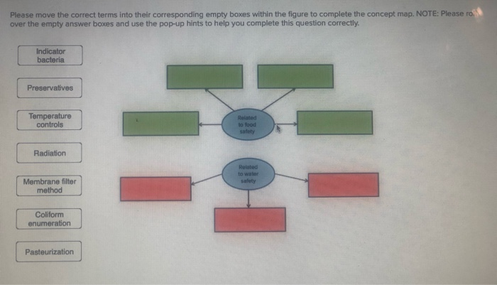 Solved Please move the correct terms into their | Chegg.com