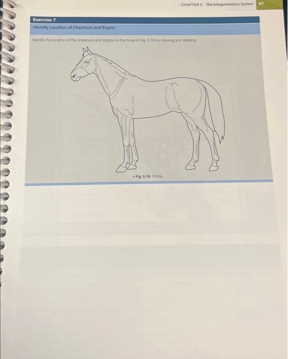 Solved Exercise 7 Identify Location of Chestnuts and Ergots | Chegg.com