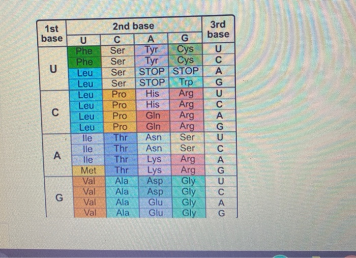 Solved If a DNA strand has a sequence GTA, what will be the | Chegg.com