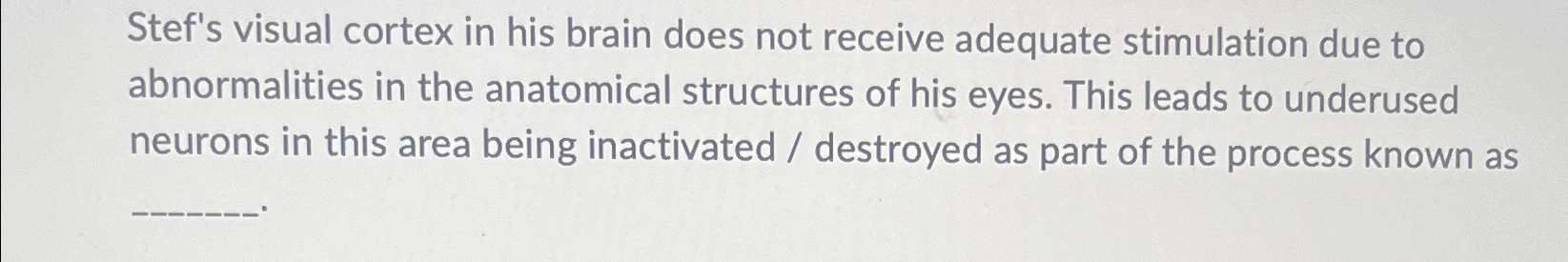 Solved Stef's visual cortex in his brain does not receive | Chegg.com