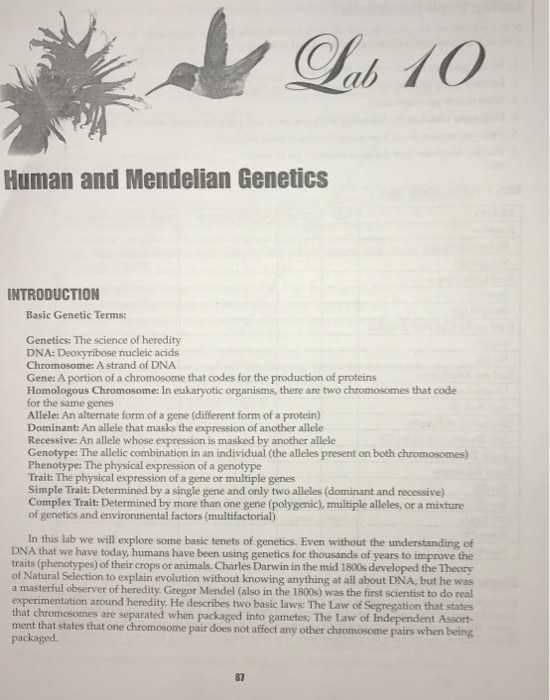 LAB 10 Human and Mendelian Genetics 93 EXPERIMENT 3 | Chegg.com