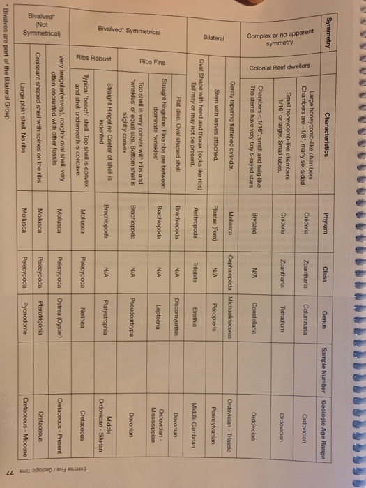Solved Fossils Pre-lab Print Name Section There are 10 | Chegg.com