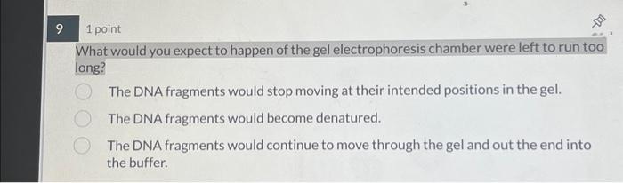 Solved 1 point What would you expect to happen of the gel | Chegg.com