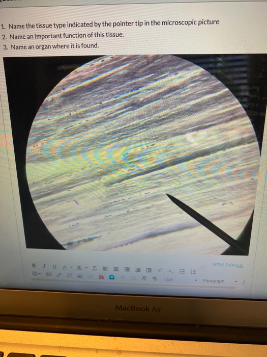 Solved 1. Name the tissue type indicated by the pointer tip | Chegg.com