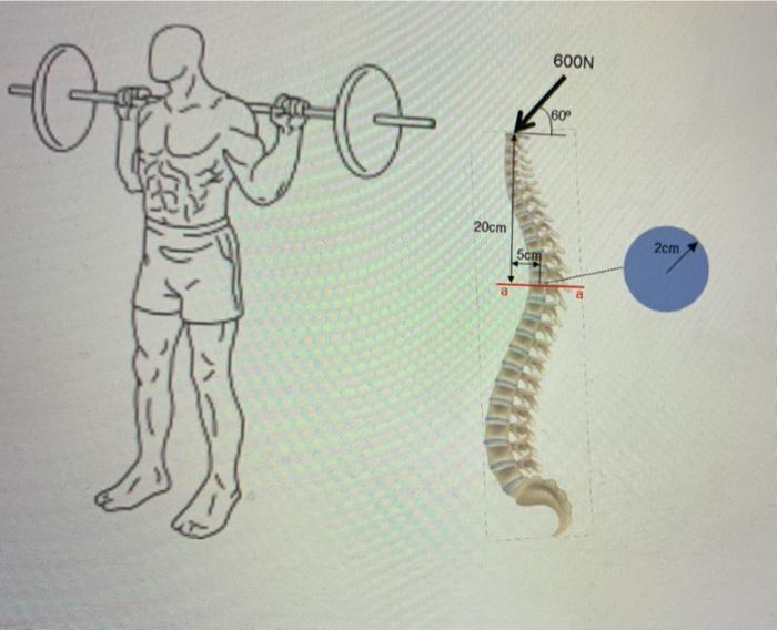 Solved 1. The below figure shows the force acting on spine | Chegg.com