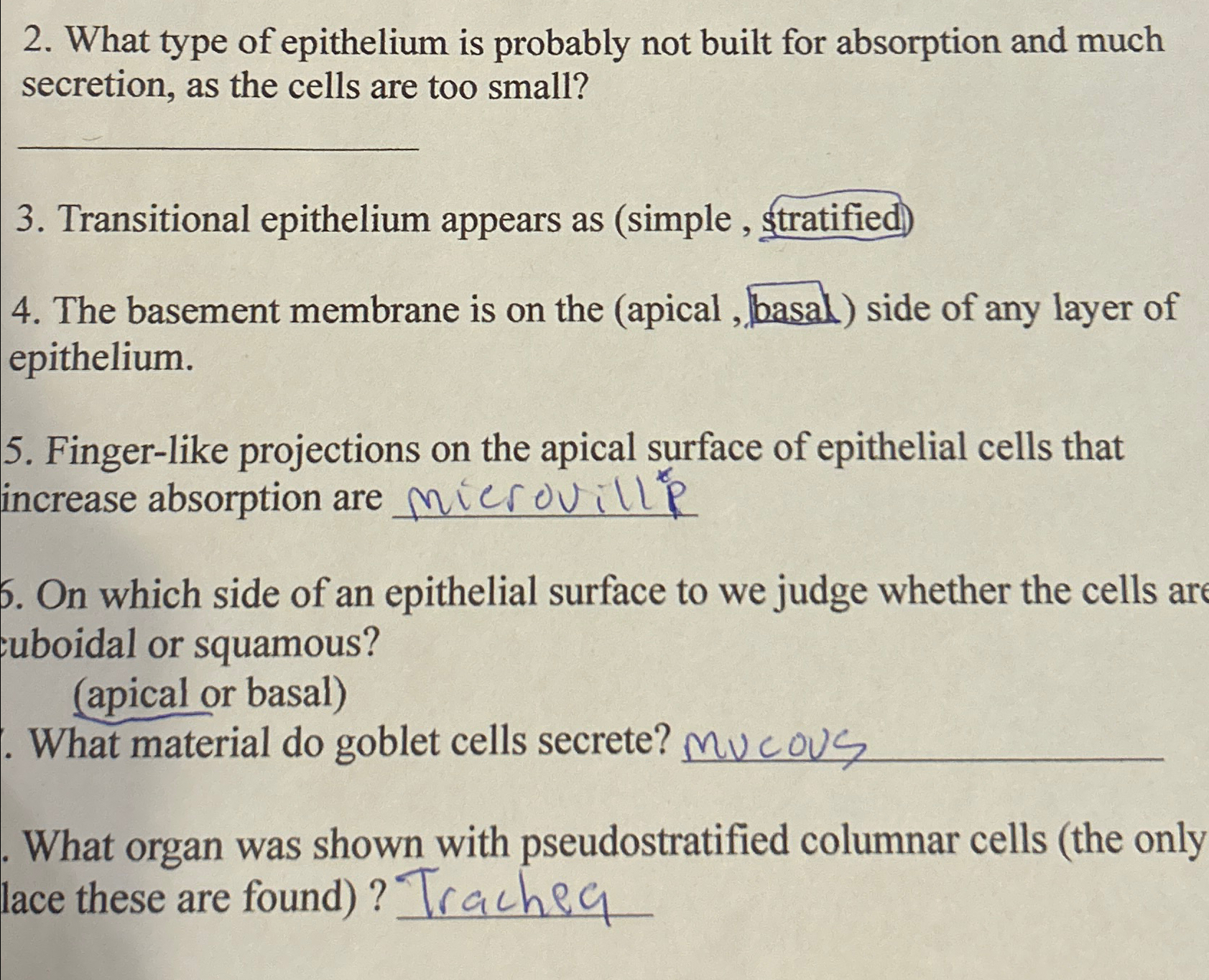 What type of epithelium is probably not built for | Chegg.com
