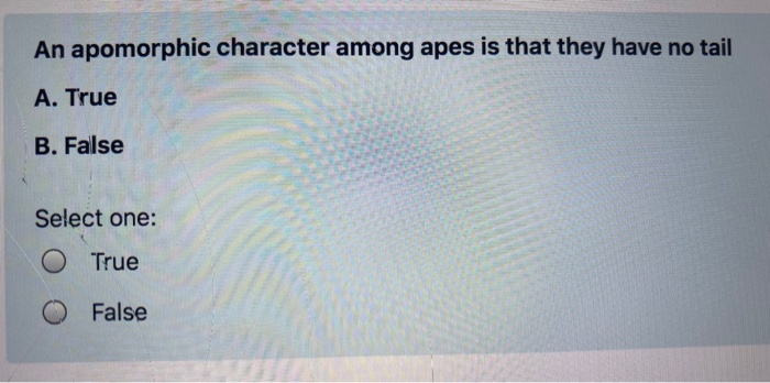 Solved An Apomorphic Character Among Apes Is That They Have