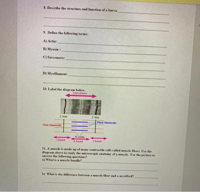 Solved 7. Use the word bank to correctly label the diagram | Chegg.com
