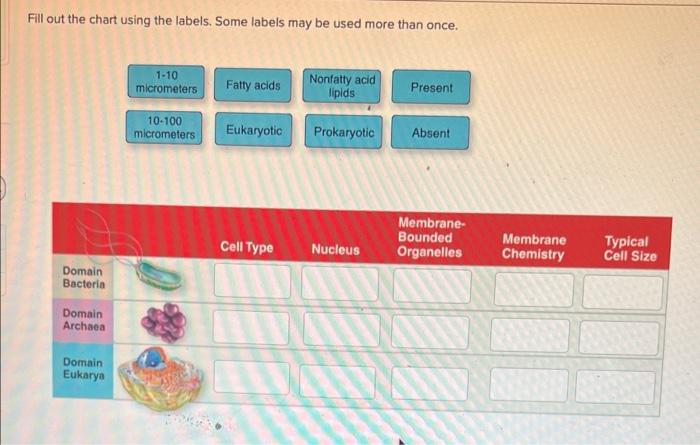 Solved Fill out the chart using the labels. Some labels may | Chegg.com