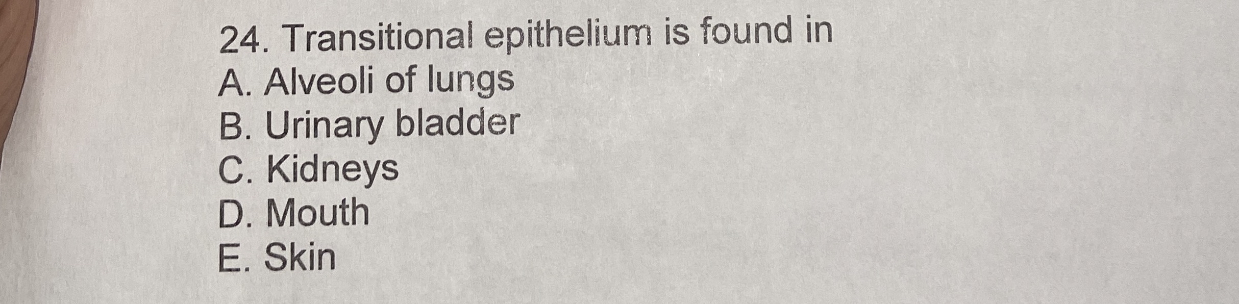 Solved Transitional epithelium is found inA. ﻿Alveoli of | Chegg.com
