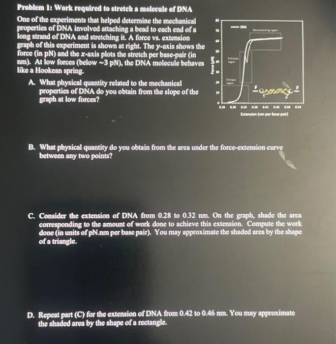 Solved Problem I: Work required to streteh a molecule of DNA | Chegg.com