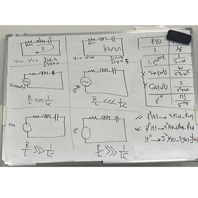 This is a project for differential equation course | Chegg.com