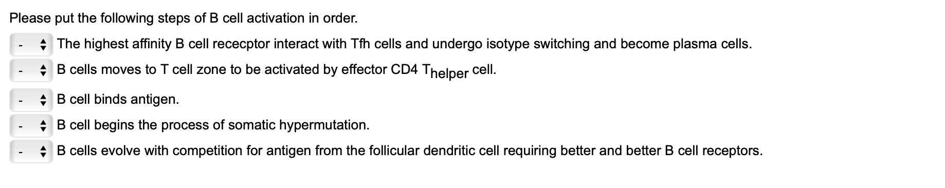 Solved Please put the following steps of B ﻿cell activation | Chegg.com