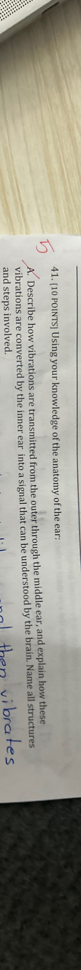 Solved A. ﻿Describe how vibrations are transmitted from the | Chegg.com