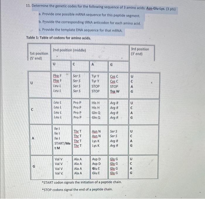 Solved 11. Determine the genetic codes for the following | Chegg.com