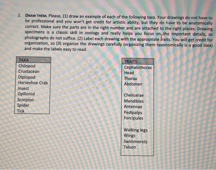 2. DRAW THEM. Please, (1) draw an example of each of | Chegg.com