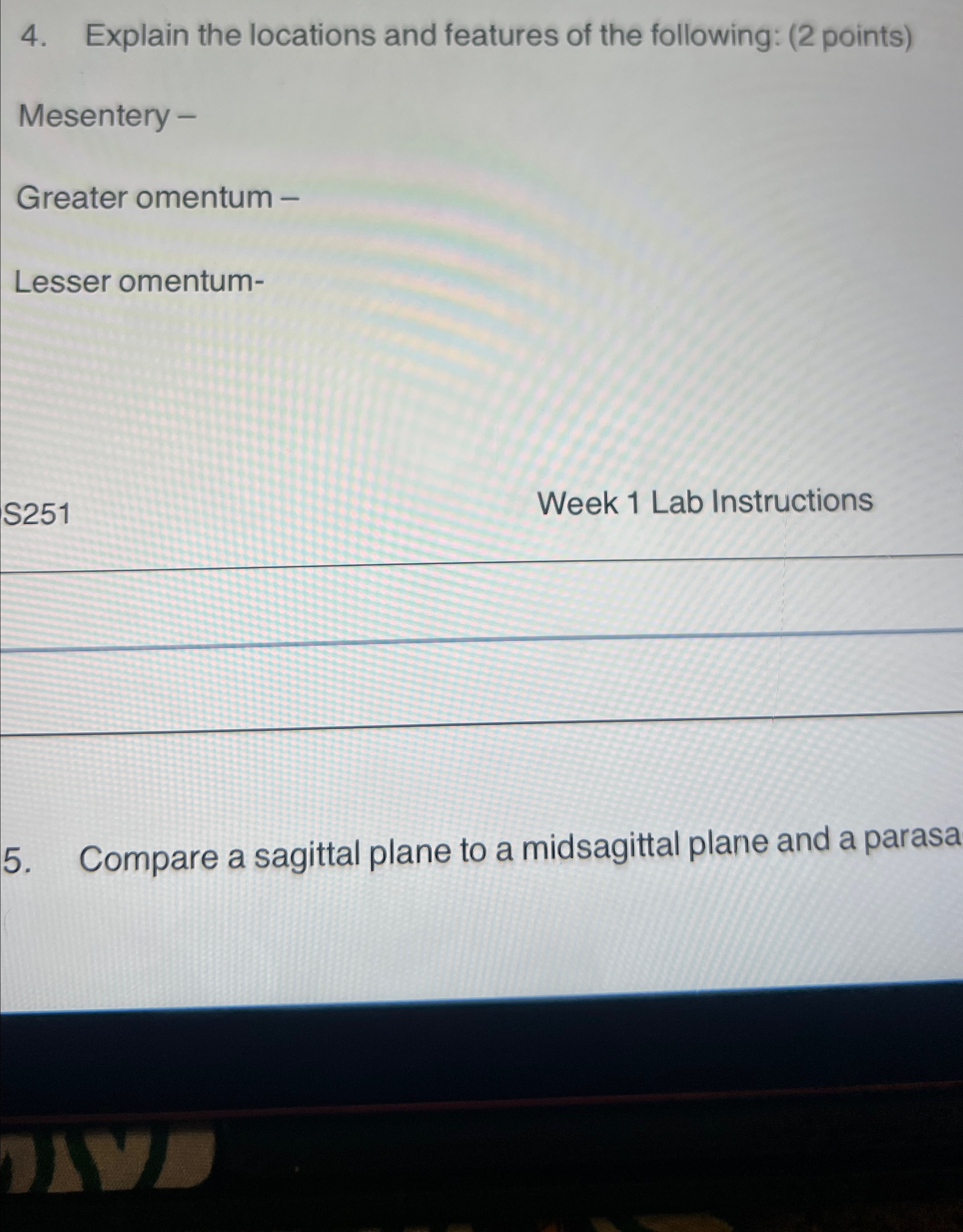 Solved Explain the locations and features of the following: | Chegg.com