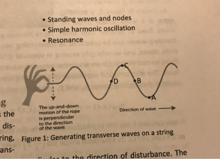 Solved • Standing waves and nodes • Simple harmonic | Chegg.com